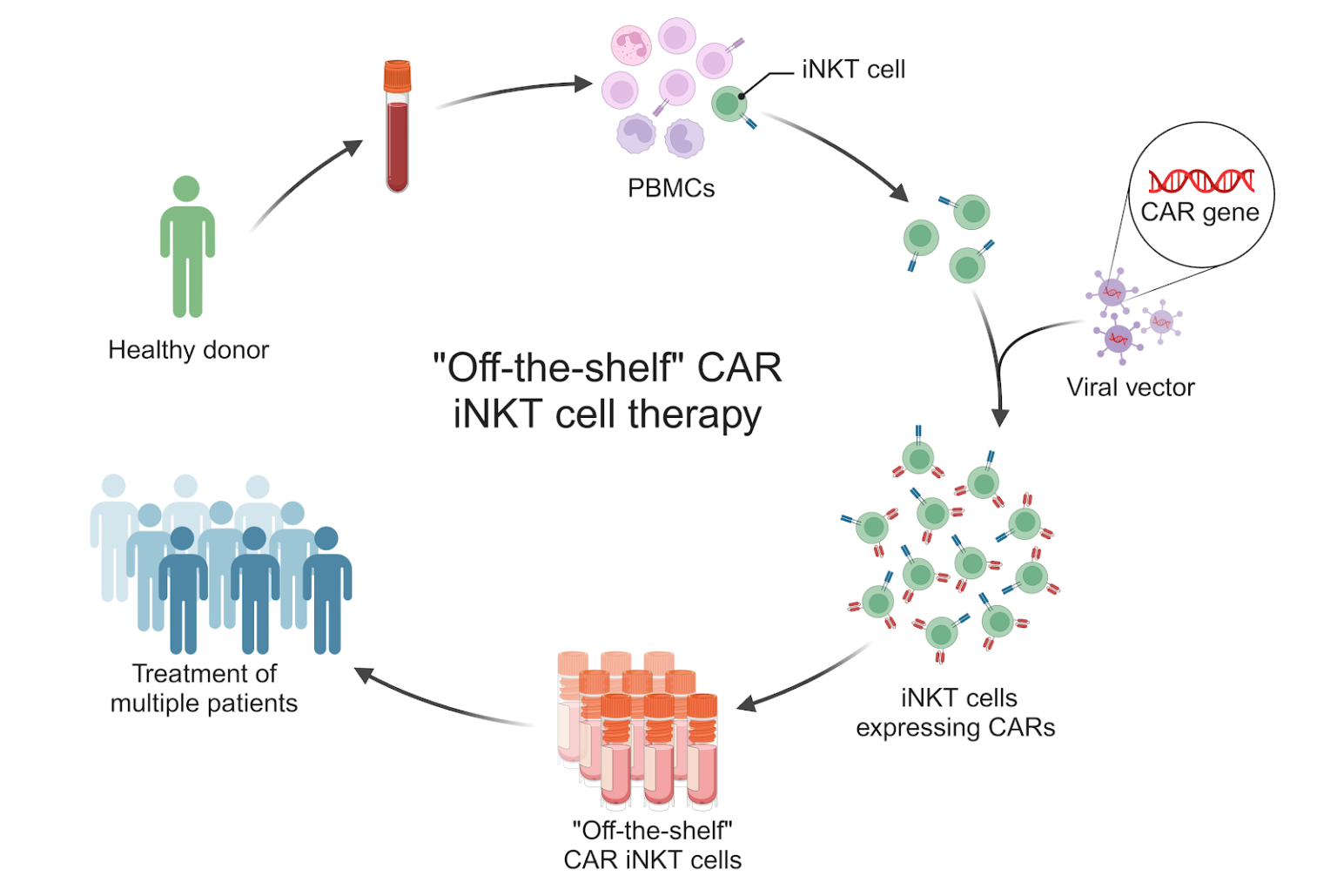 iNKT Cell Expansion Platform – Tinkeso Therapeutics