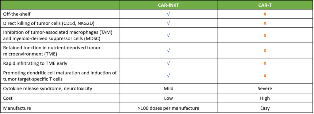 CAR-iNKT – Tinkeso Therapeutics